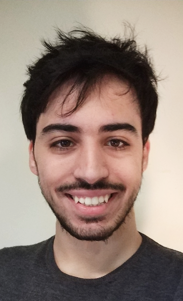 Nuzzi Davide – PhD School in Physics